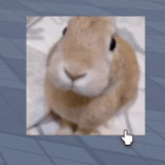 slungus pet | Roblox Item Asylum Wiki | Fandom