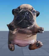 pibble | Roblox Item Asylum Wiki | Fandom