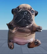 pibble | Roblox Item Asylum Wiki | Fandom