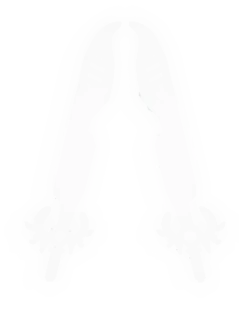 Chaos saber | Roblox Item Asylum Wiki | Fandom