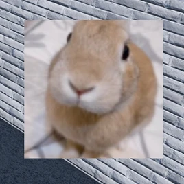 slungus pet | Roblox Item Asylum Wiki | Fandom