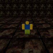 Specimen 9 | Roblox Item Asylum Wiki | Fandom