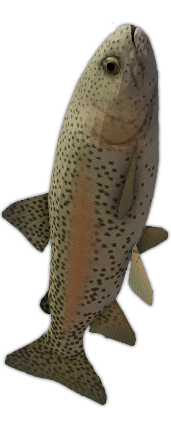 Killer fish from san diego | Roblox Item Asylum Wiki | Fandom