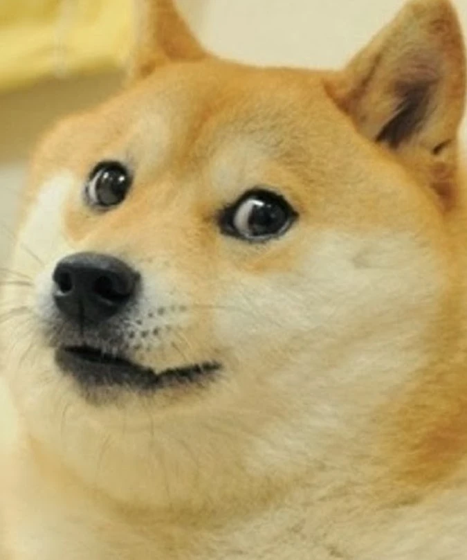 Doge | Coops Bextbots Wiki | Fandom