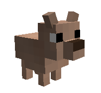 Chihuahua | Copious Dogs Wiki | Fandom