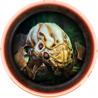 KYRIX (card) - Official Coraabia Wiki