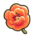 Coquelicot | Wiki Coral Island | Fandom