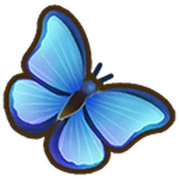 blue morpho butterfly coral island