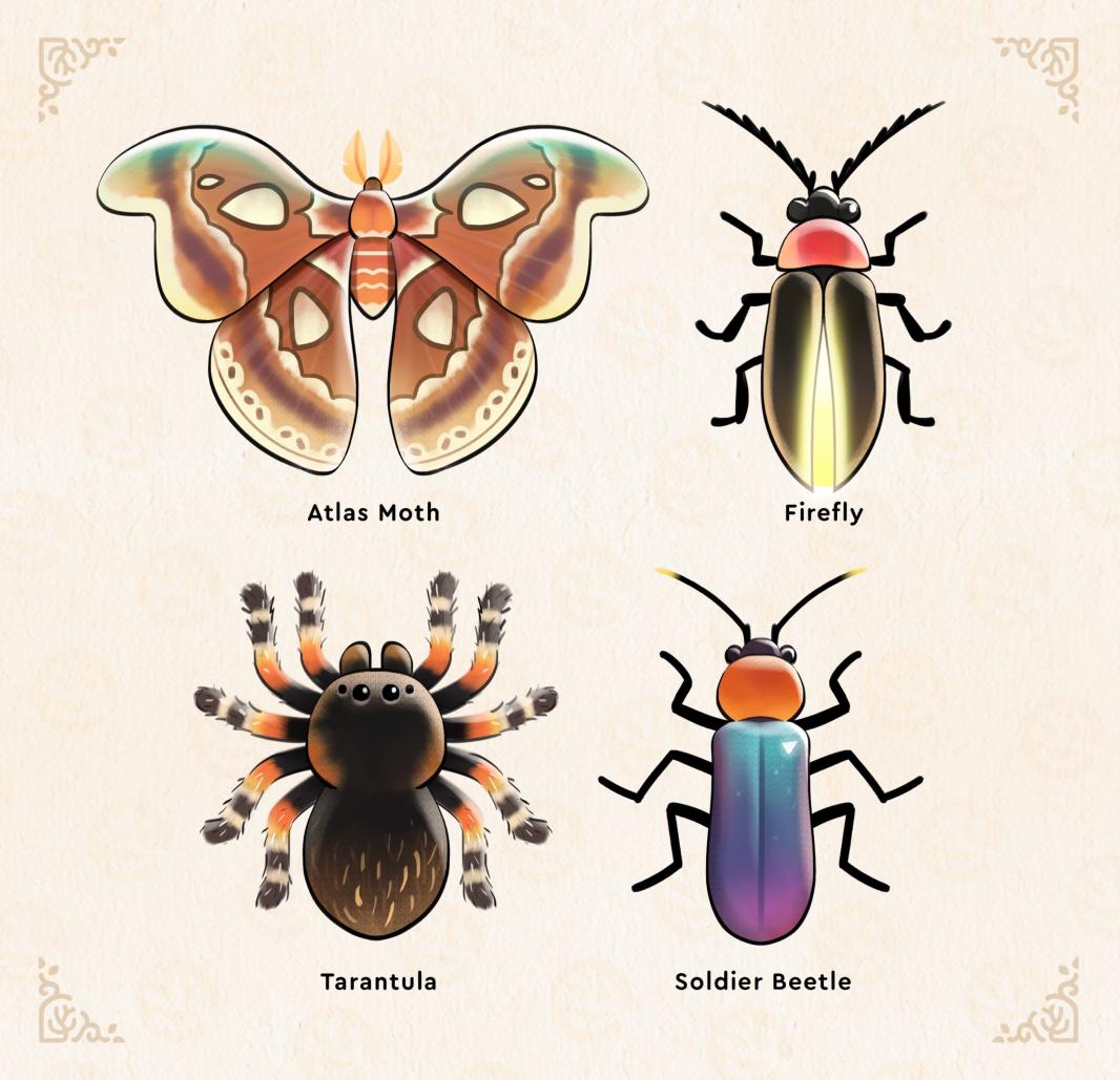 Insect | Coral Island Wiki | Fandom