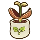 Cocoa seedling | Coral Island Wiki | Fandom