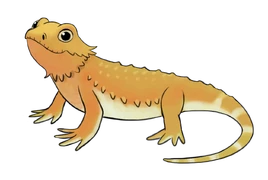 Lindi | Coral Island Wiki | Fandom