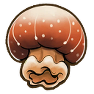 how to cook cannonball jellyfish