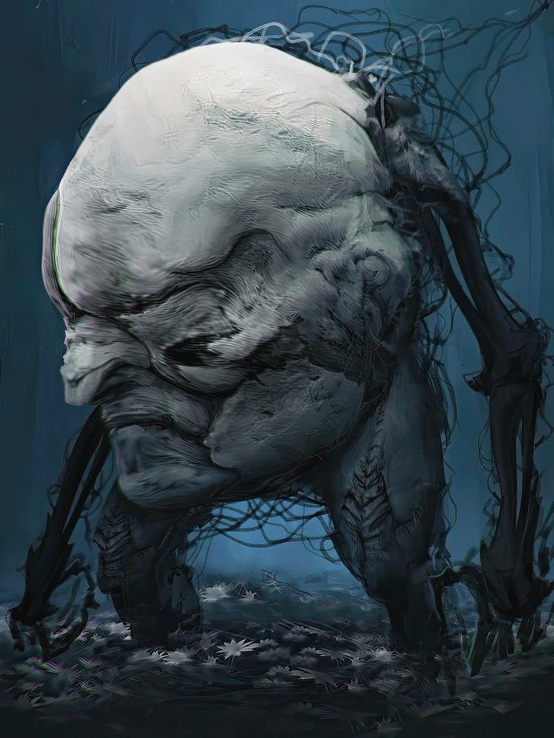 Cuiris | Cordia Wiki | Fandom