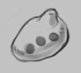 Ocarina | Core Keeper Wiki | Fandom