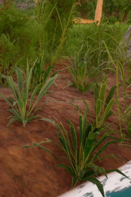 Reeds | Coreborn Wiki | Fandom