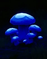 Glowing Jibcup | Coreborn Wiki | Fandom