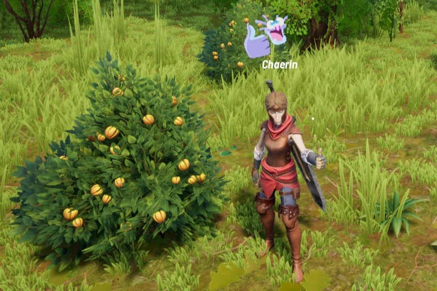 Plumquat | Coreborn Wiki | Fandom