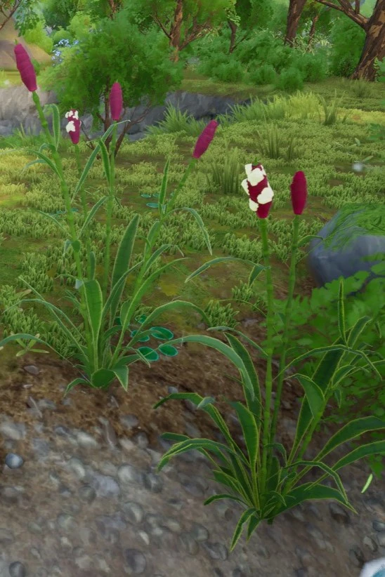 Reed Puff | Coreborn Wiki | Fandom