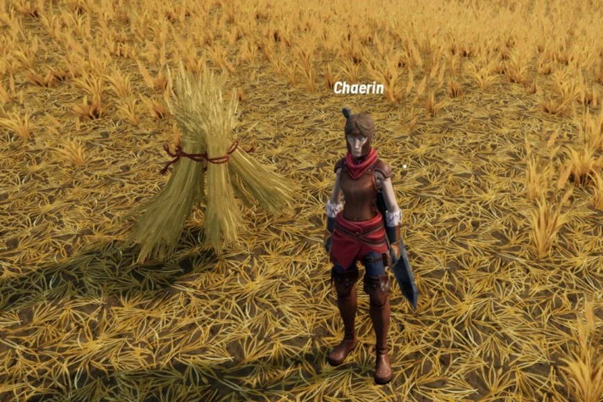 Grain | Coreborn Wiki | Fandom