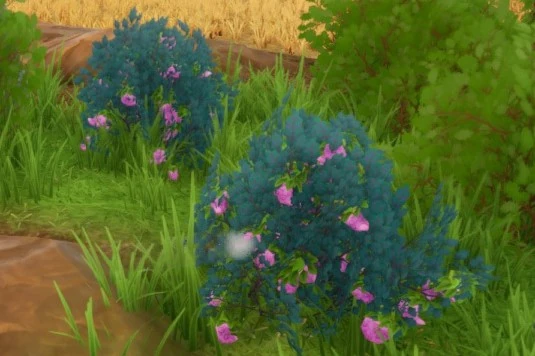 Ruuberry | Coreborn Wiki | Fandom