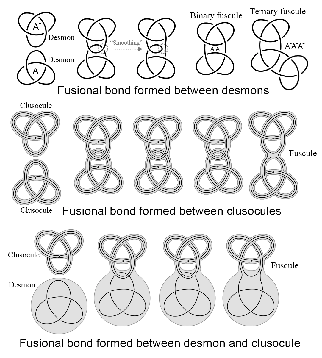 Fusional bond | Corjam Wiki | Fandom