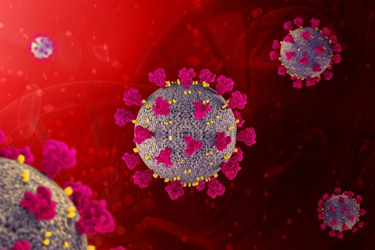 Corna virus parts | Corna virus Wiki | Fandom