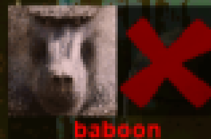 Baboon | Cart ride for corndog Wiki | Fandom