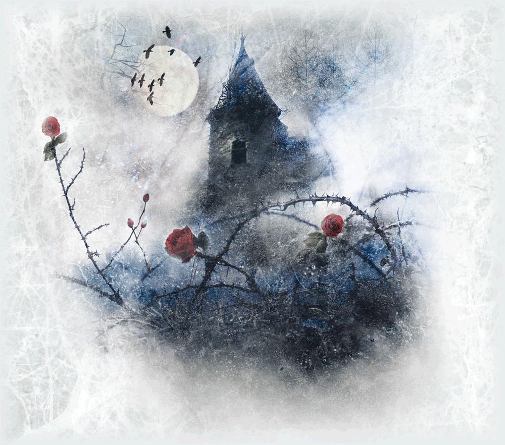 Sleeping Beauty's Castle | Cornelia Funke Wiki | Fandom