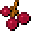 Chokecherries | Cornucopia Game Wiki | Fandom