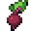 Beet | Cornucopia Game Wiki | Fandom