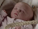 Lily Platt - List of appearances | Coronation Street Wiki | Fandom