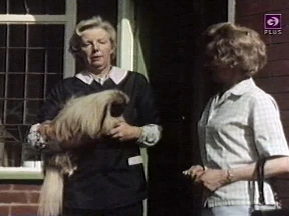 Episode 1724 (25th July 1977) | Coronation Street Wiki | Fandom