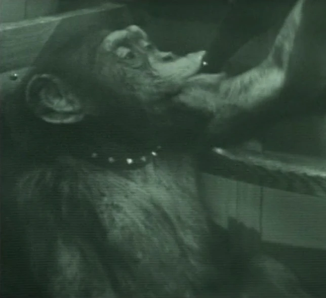 Rupert | Coronation Street Wiki | Fandom