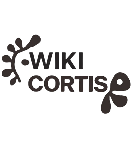 Martin | Wiki CORTIS | Fandom