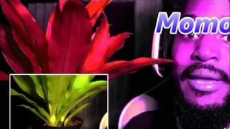 Momo | CoryxKenshin Wiki | Fandom
