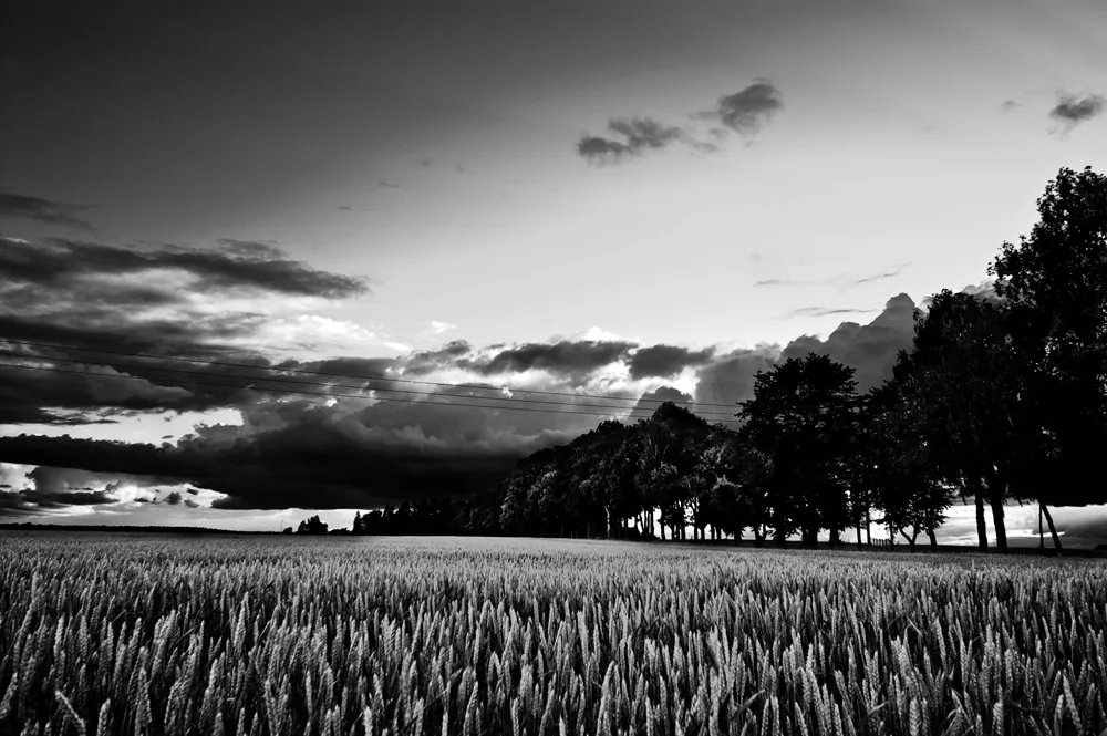 Erebus | Cosmic Collision Wiki | Fandom