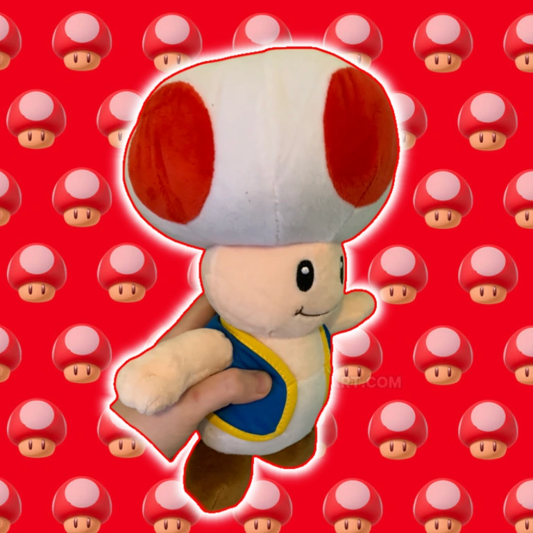 CM Toad | CMWIKI Wiki | Fandom