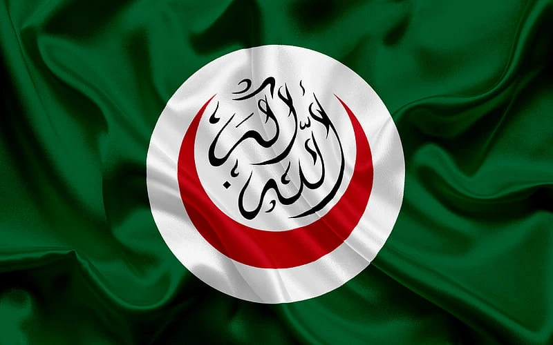 OIC; Organization of Islamic Organization | CosmosMC Earth Wiki | Fandom