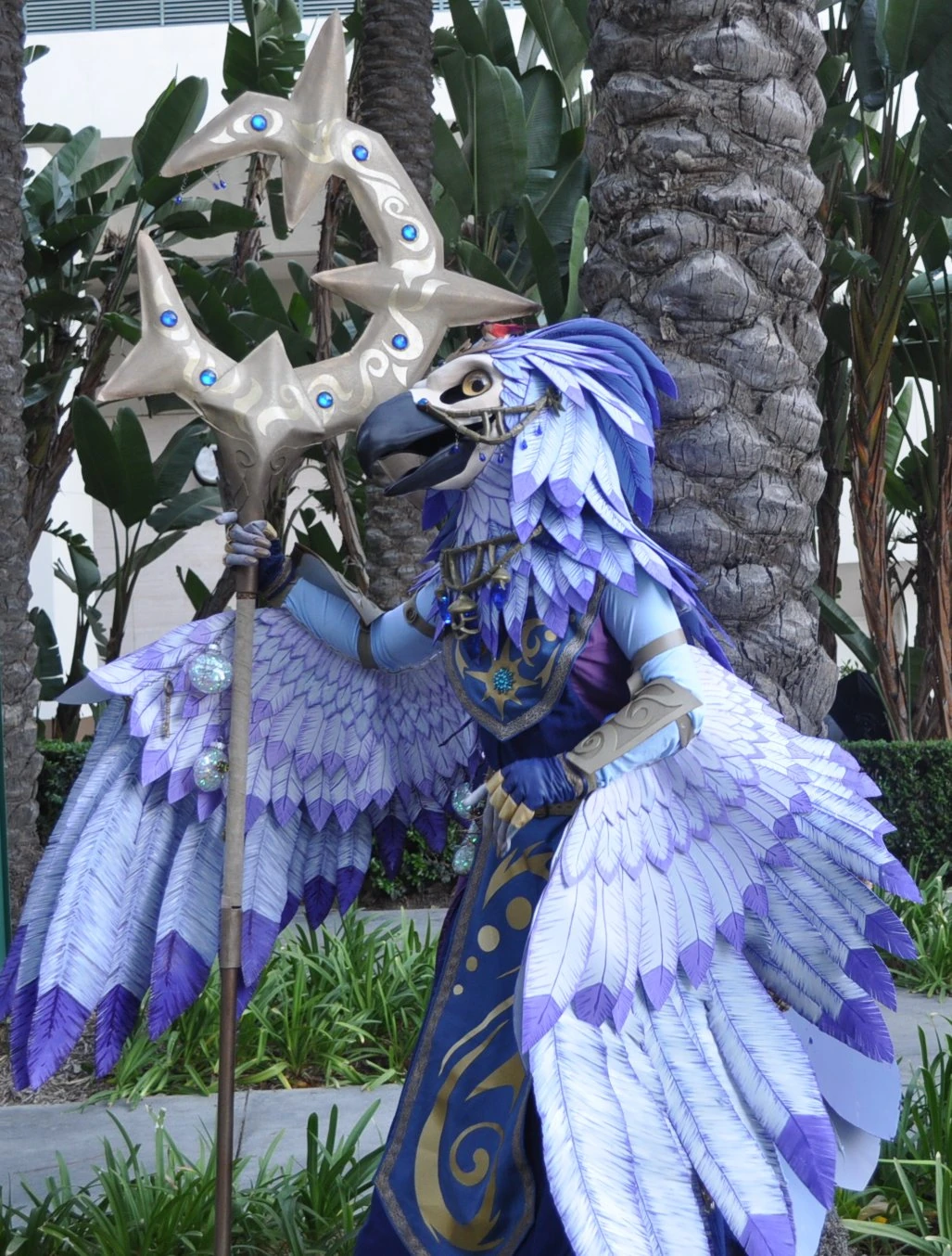 Arrakoa | The Cosplay Wiki | Fandom