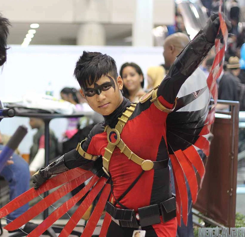 Red Robin | The Cosplay Wiki | Fandom