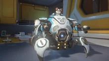 Hammond (Overwatch) | Cosplay Reference Wiki | Fandom