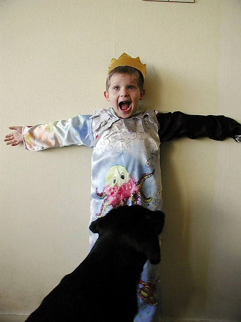 Sea Prince | Costume Wiki | Fandom