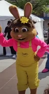 Bella Bunny | Costumed Characters Wiki | Fandom