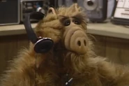 ALF | Costumed Characters Wiki | Fandom