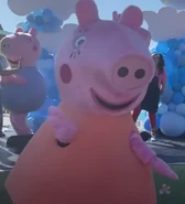 Pigs | Costumed Characters Wiki | Fandom
