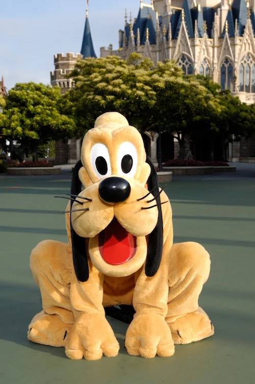Pluto | Costumed Characters Wiki | Fandom