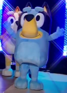 Bluey | Costumed Characters Wiki | Fandom