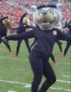 Ms. Wuf | Costumed Characters Wiki | Fandom