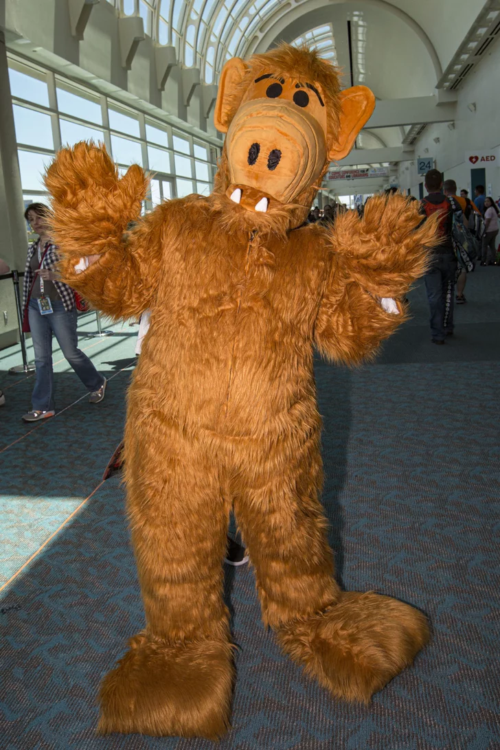 ALF | Costumed Characters Wiki | Fandom