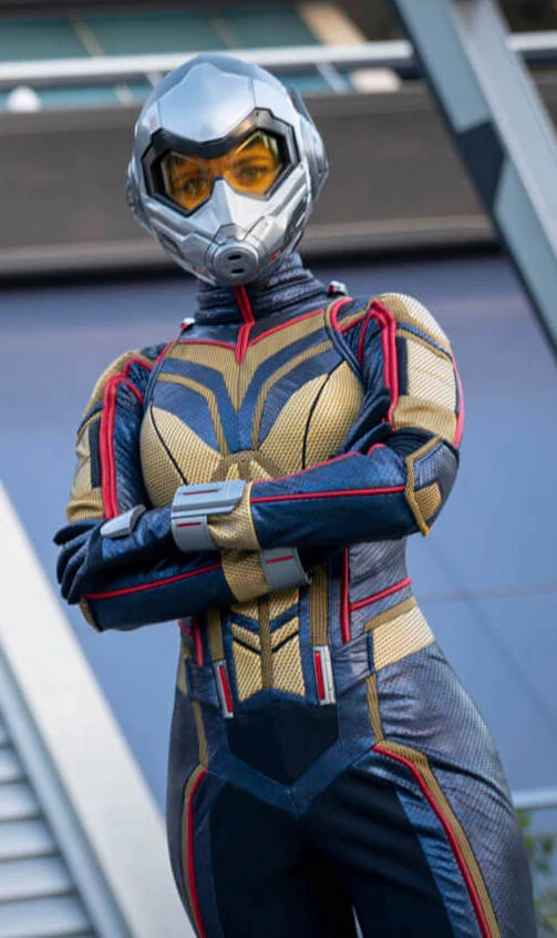Wasp | Costumed Characters Wiki | Fandom
